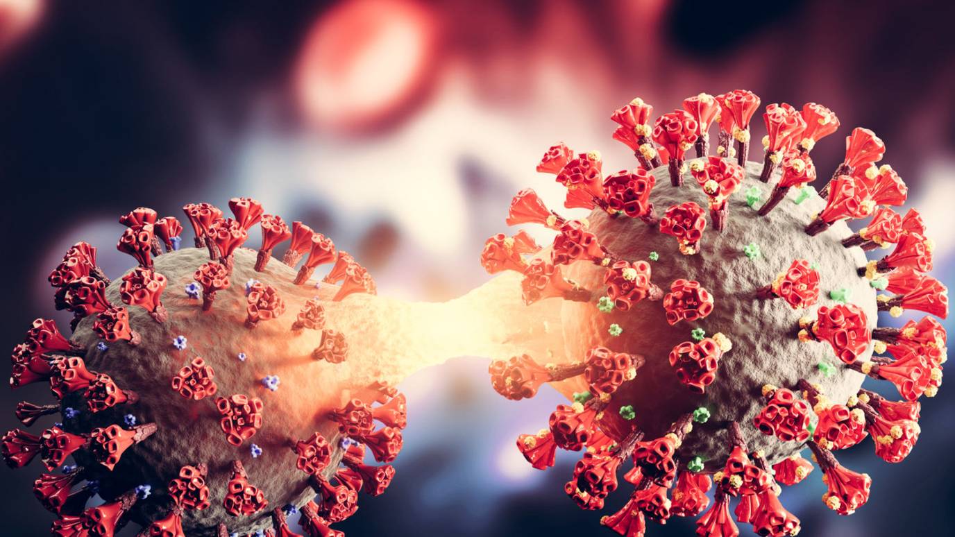 A New Way to See Viruses in Action: Super-Resolution Microscopy ...