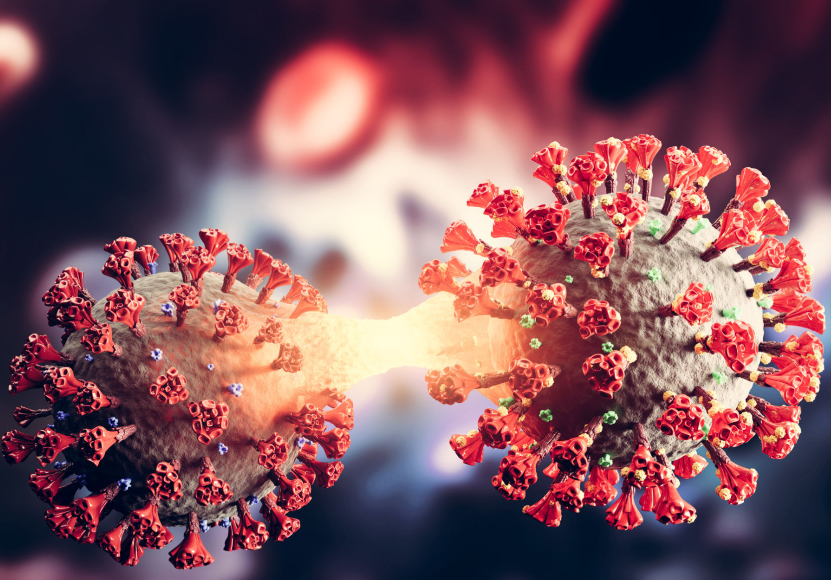 A New Way to See Viruses in Action: Super-Resolution Microscopy ...