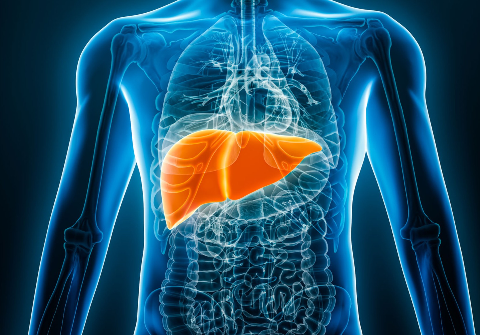 PSC Without IBD Linked to Elevated Colorectal Cancer Risk, New Findings ...