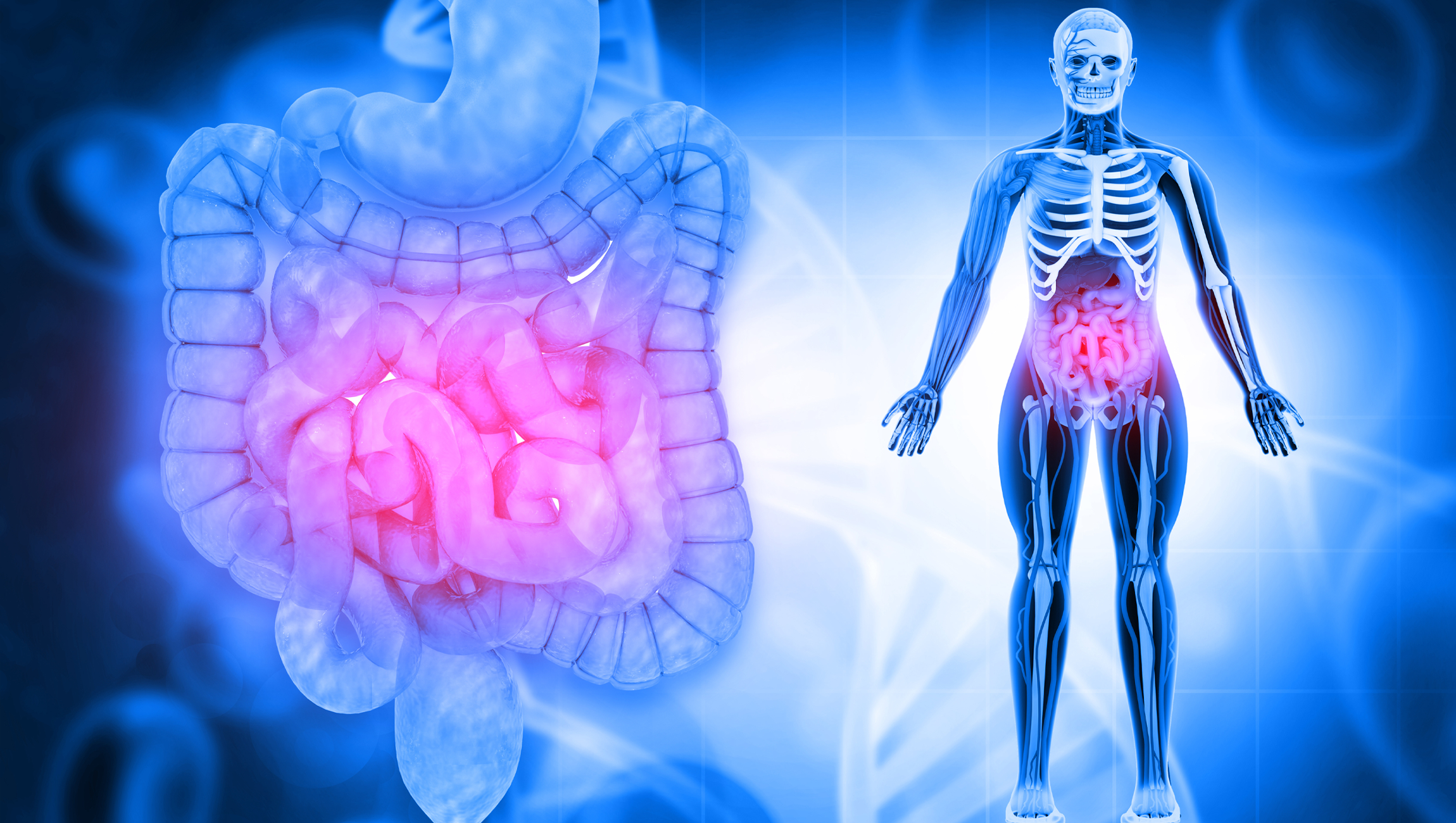 Pathogenesis of IBD - Crohn's Colitis Professional